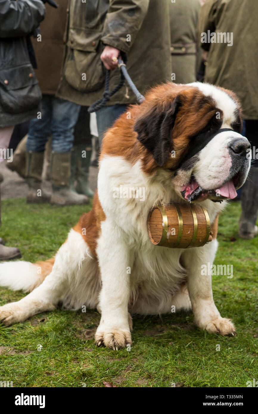 Lauf um den hals -Fotos und -Bildmaterial in hoher Auflösung – Alamy
