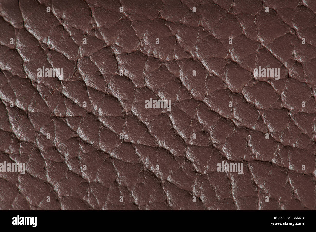 Braune naturlederausstattung -Fotos und -Bildmaterial in hoher ...