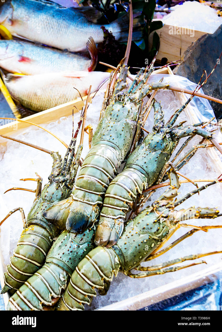 Frischen Hummer auf Eis, Street Food, Seafood Market, Langusten ...