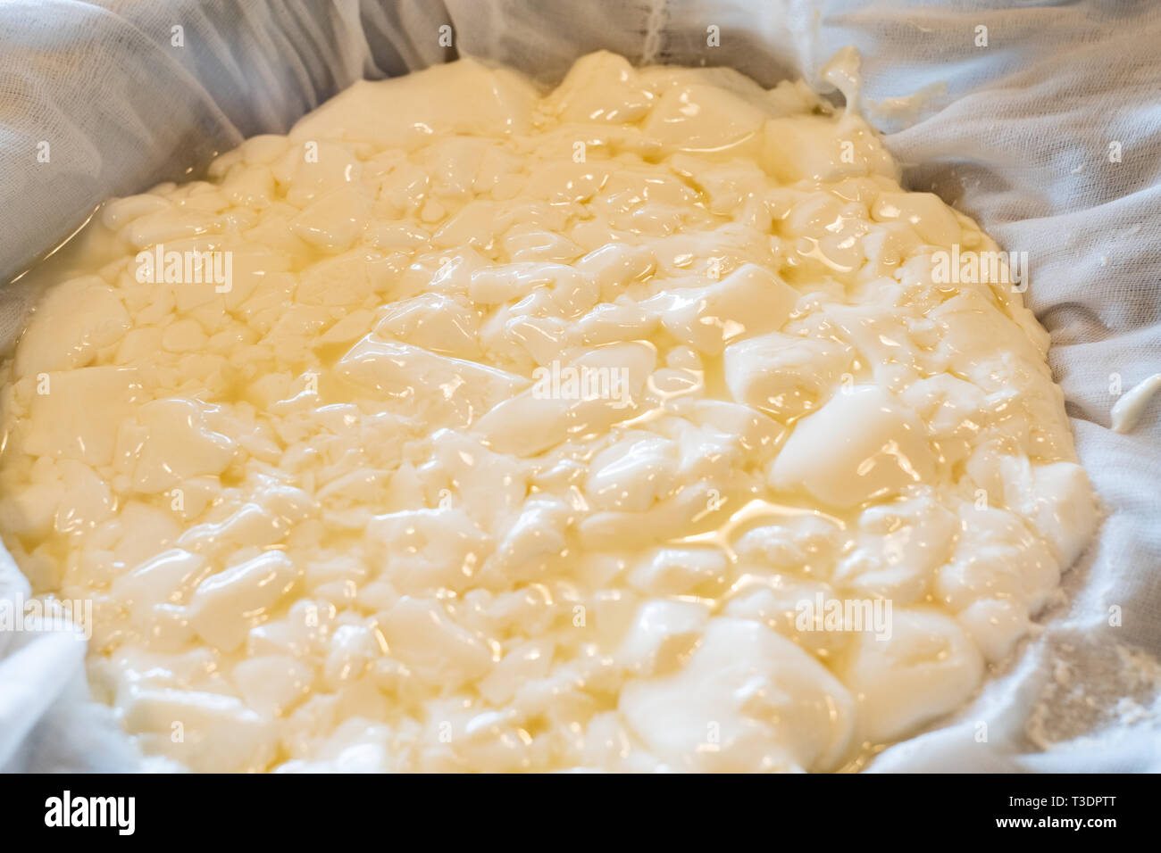 Die Quarkmasse Stockfotos und -bilder Kaufen - Alamy