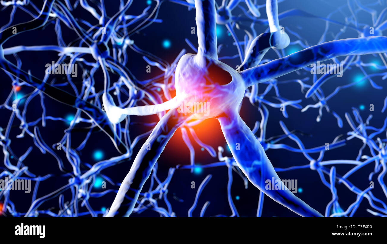 3D-Darstellung der Neuron Zellen Aufbau eines neuronalen Netzes ...