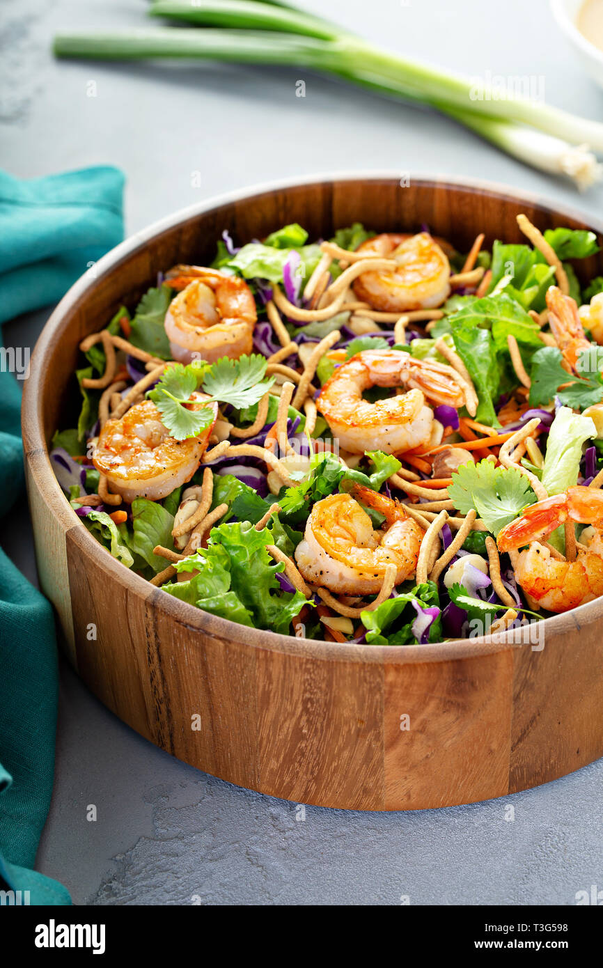 Regenbogen krautsalat -Fotos und -Bildmaterial in hoher Auflösung – Alamy