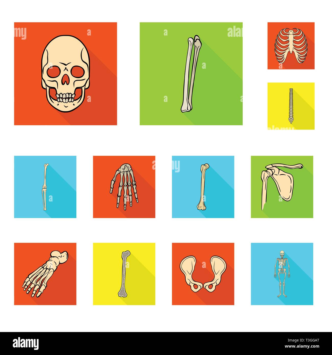 Vector Illustration von Knochen und Skelett Symbol. Satz von Knochen ...