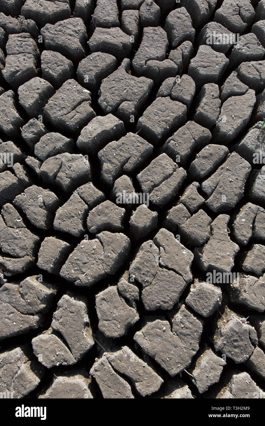 Abstraktes Muster für trockene, rissige Ton Schlamm in ausgetrockneten ...