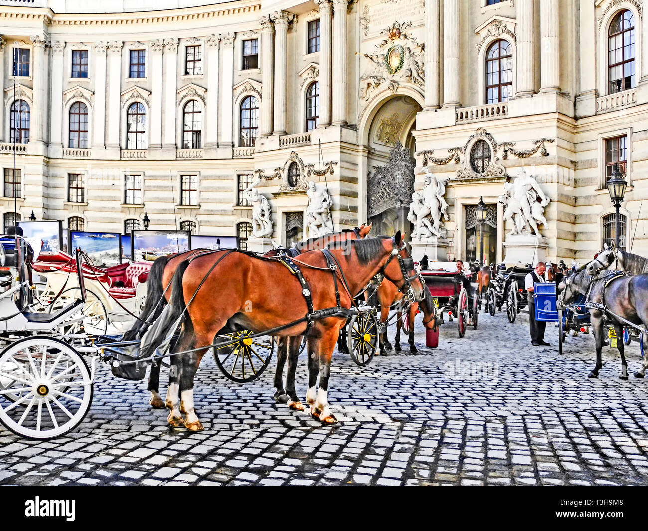 Fiaker driver -Fotos und -Bildmaterial in hoher Auflösung – Alamy
