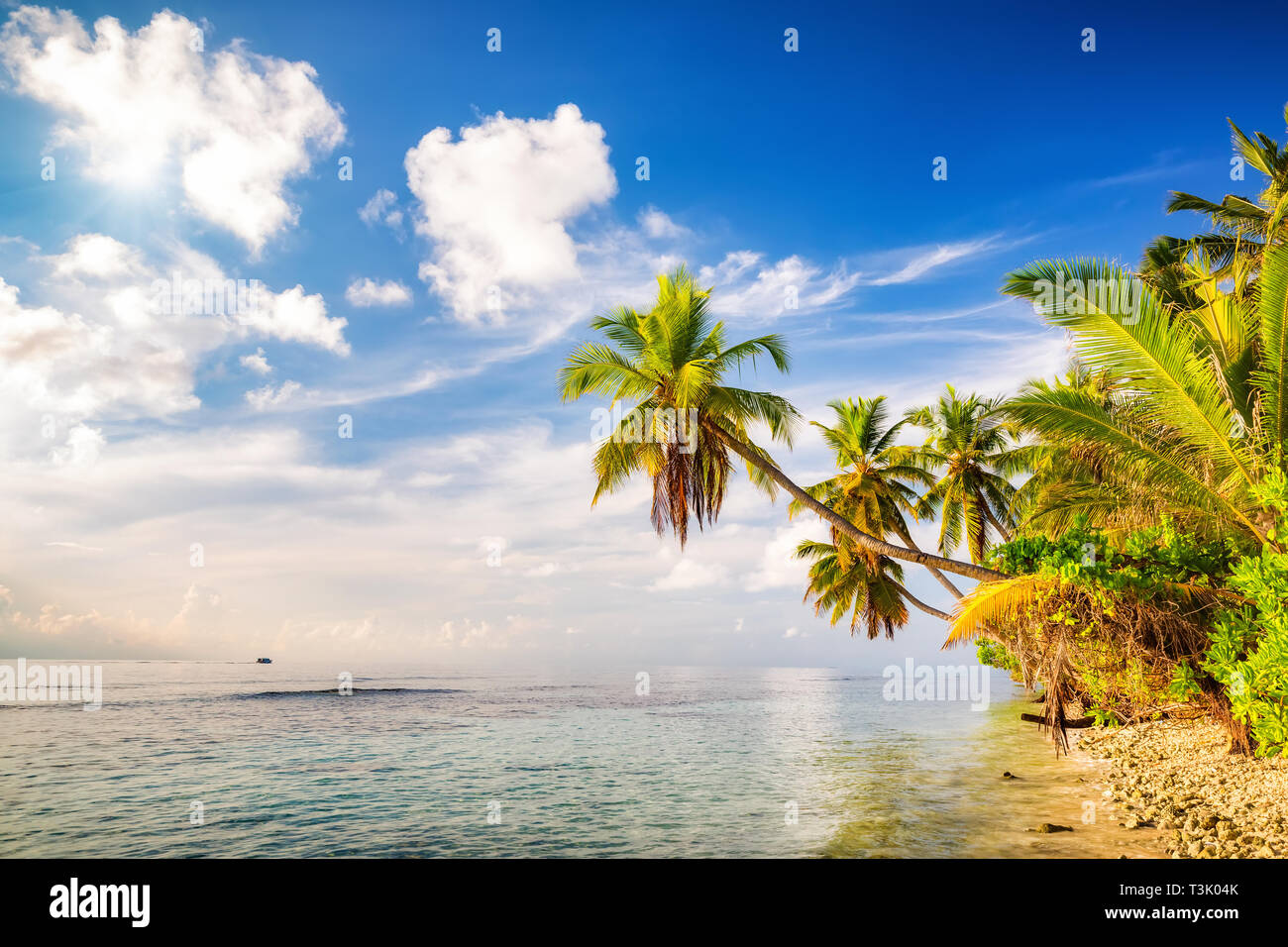 Strand palmen resort -Fotos und -Bildmaterial in hoher Auflösung – Alamy