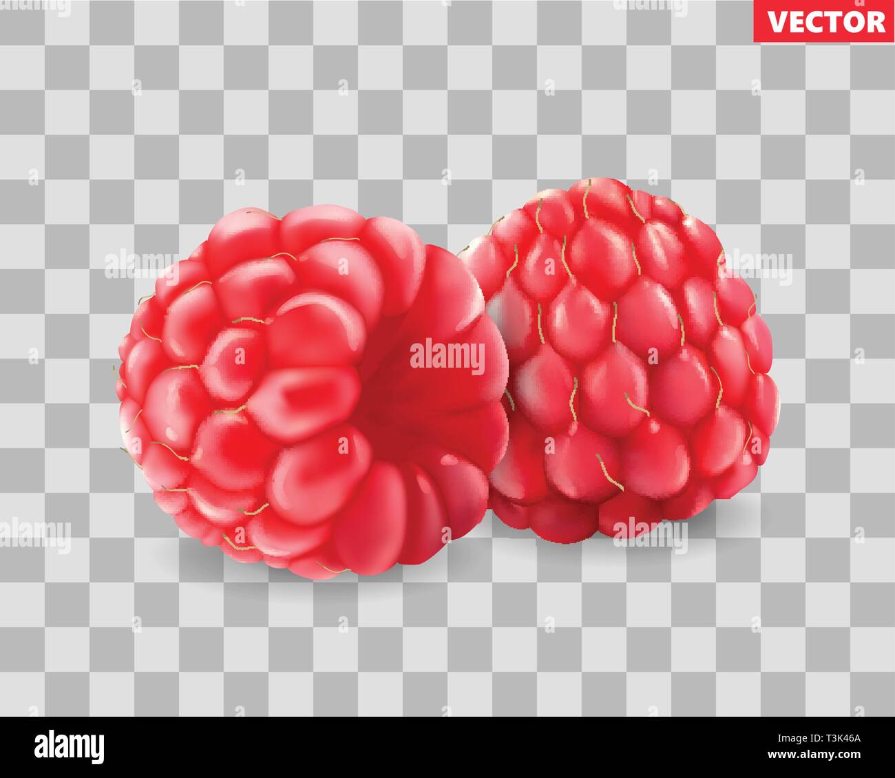 Himbeer foto Stock-Vektorgrafiken kaufen - Alamy