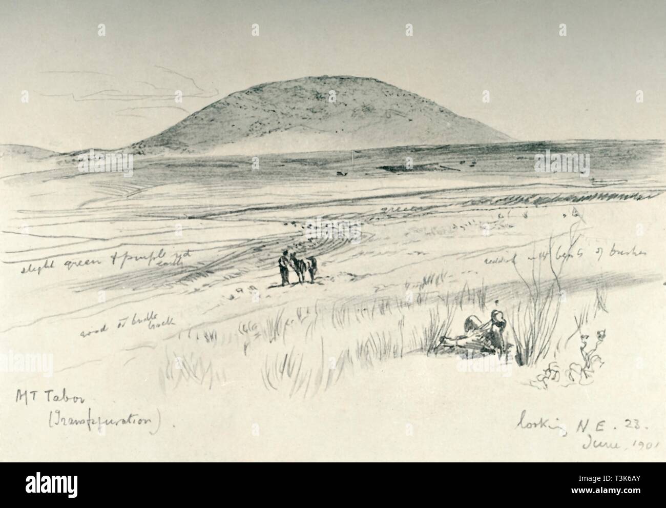 Adam tabor -Fotos und -Bildmaterial in hoher Auflösung – Alamy