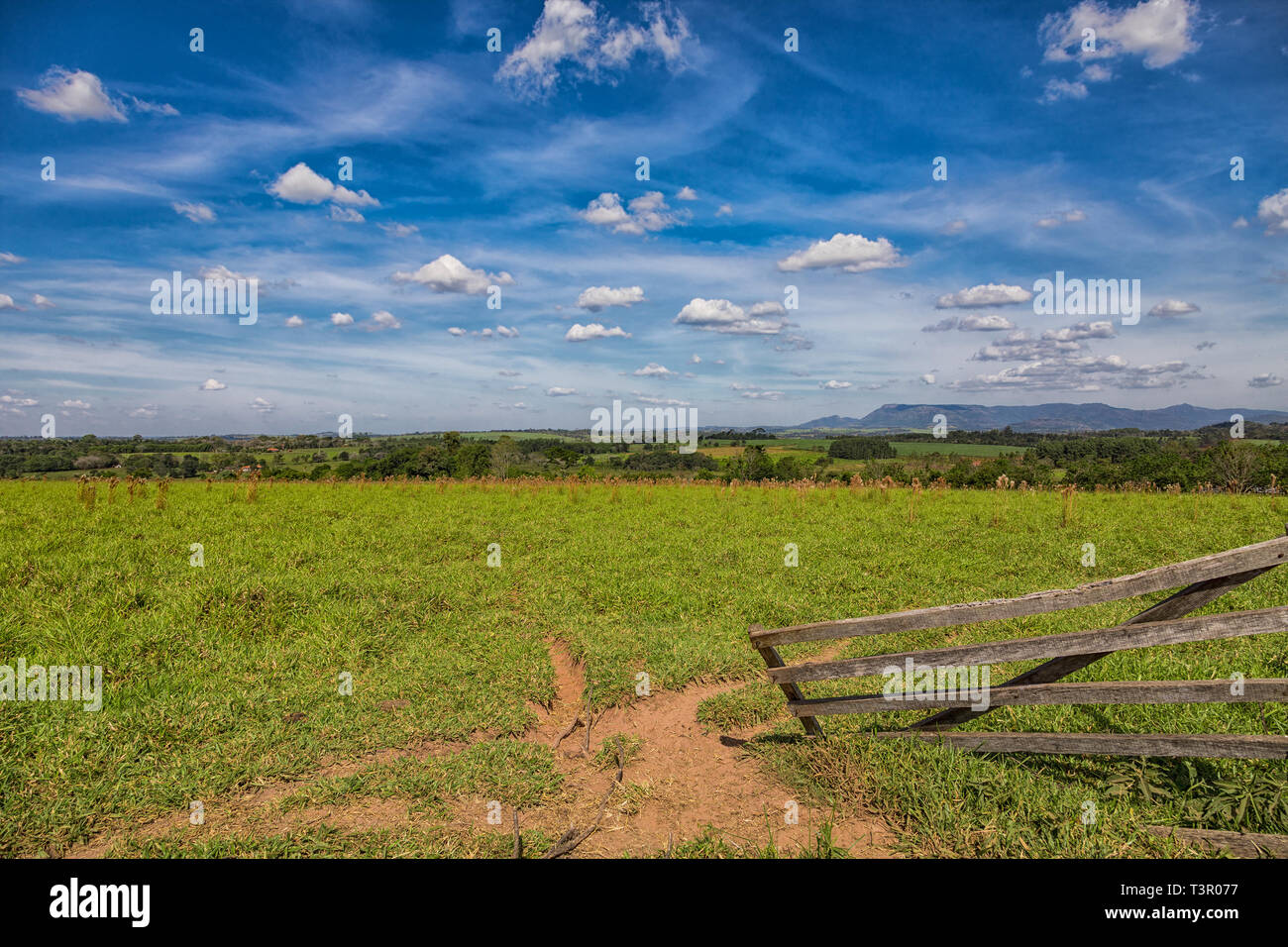 Paraguay landscape -Fotos und -Bildmaterial in hoher Auflösung – Alamy