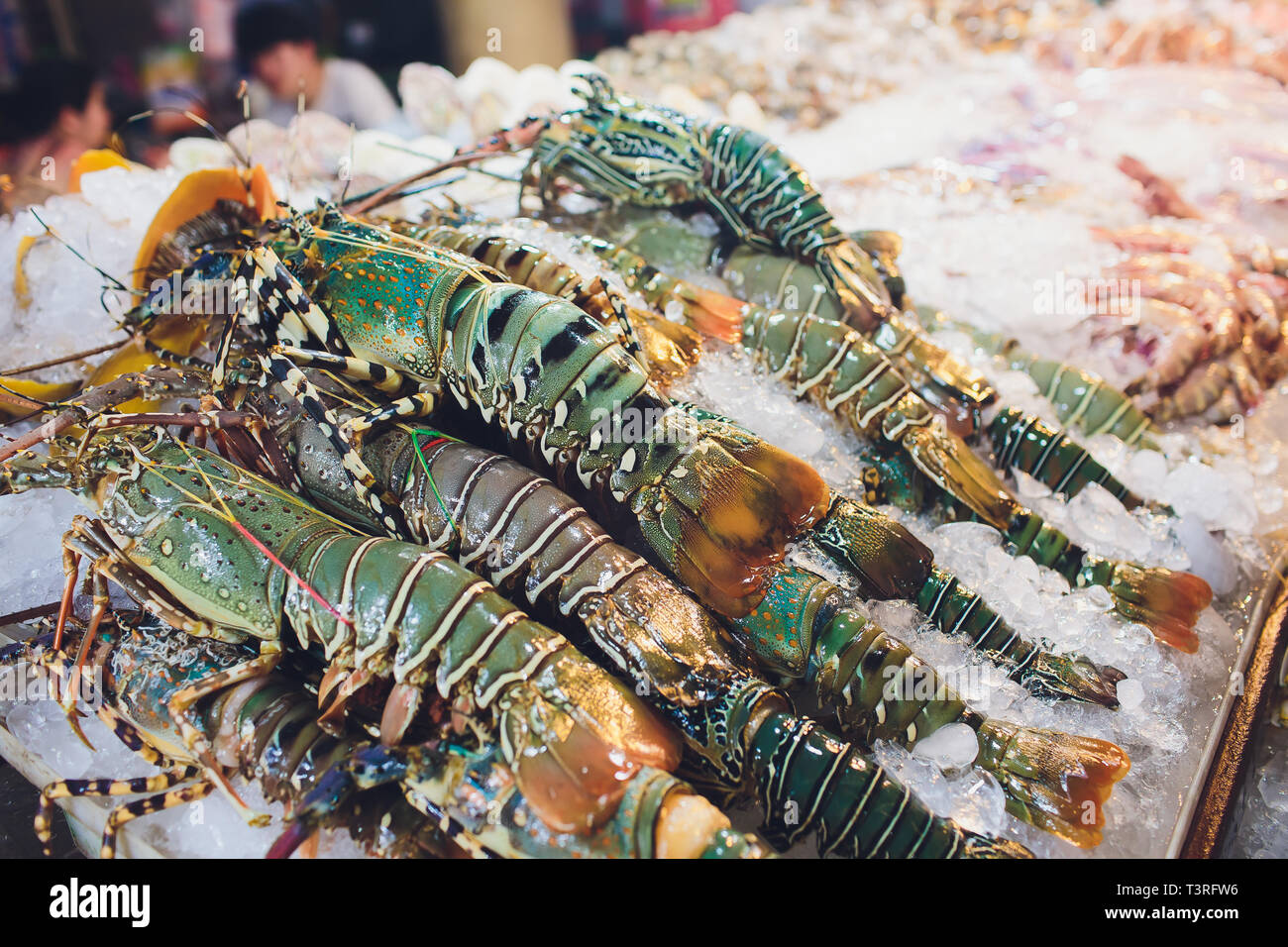 Frischer Hummer auf Eis für den Verkauf im Restaurant. Selektiven Fokus ...
