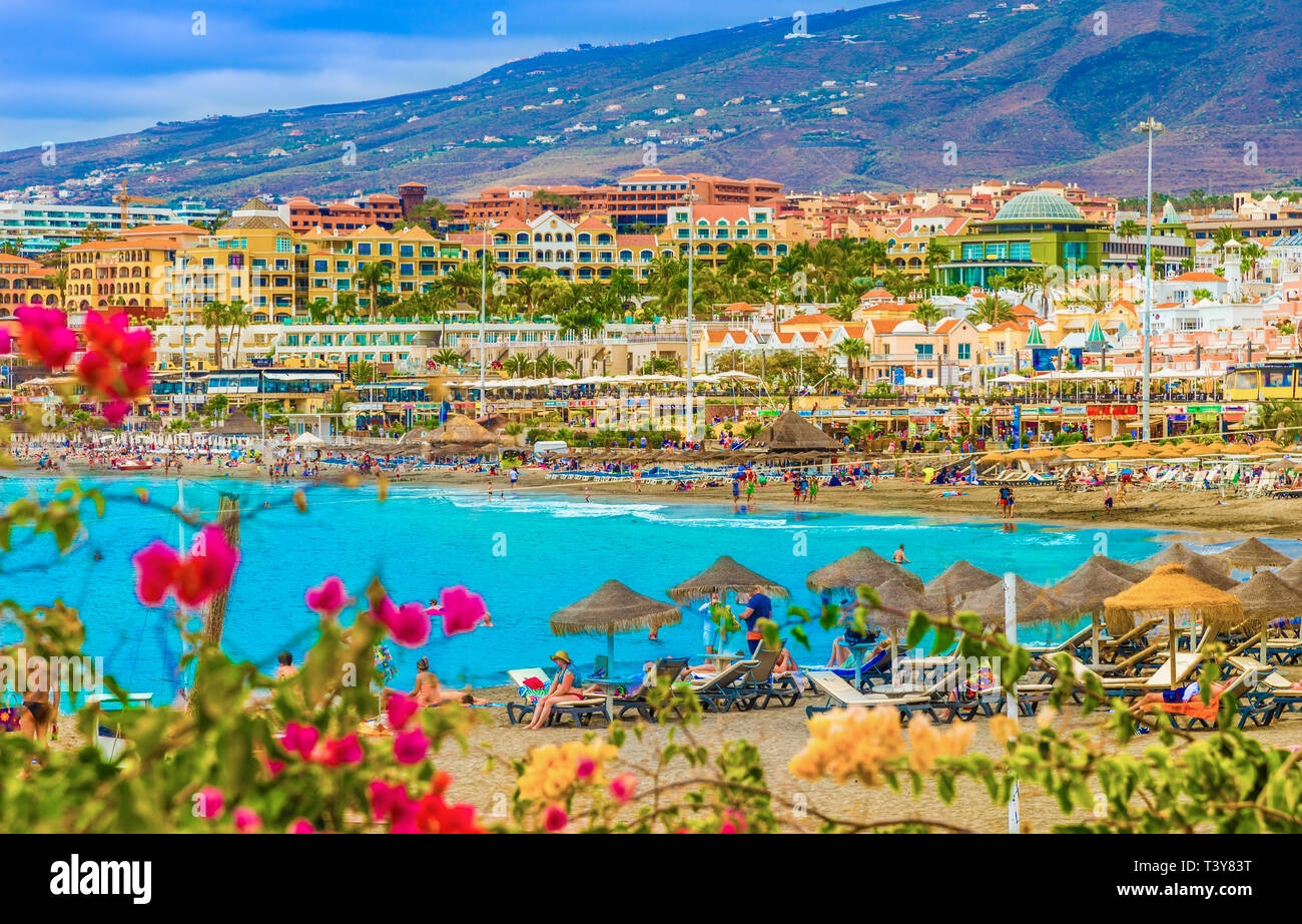 Erstaunlich Fhre Spanien Teneriffa Fotos