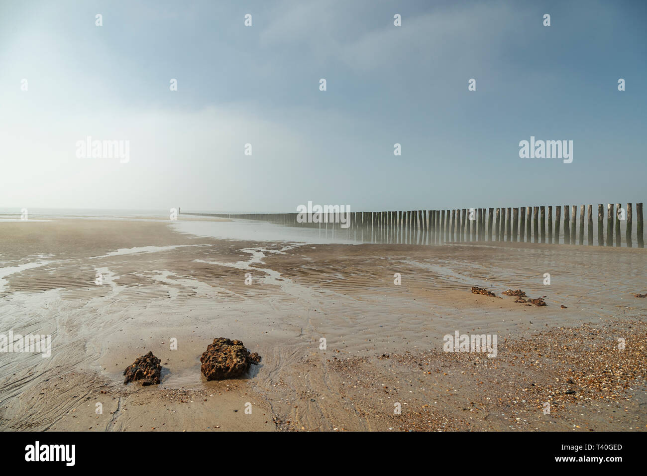 Zoutelande -Fotos und -Bildmaterial in hoher Auflösung – Alamy