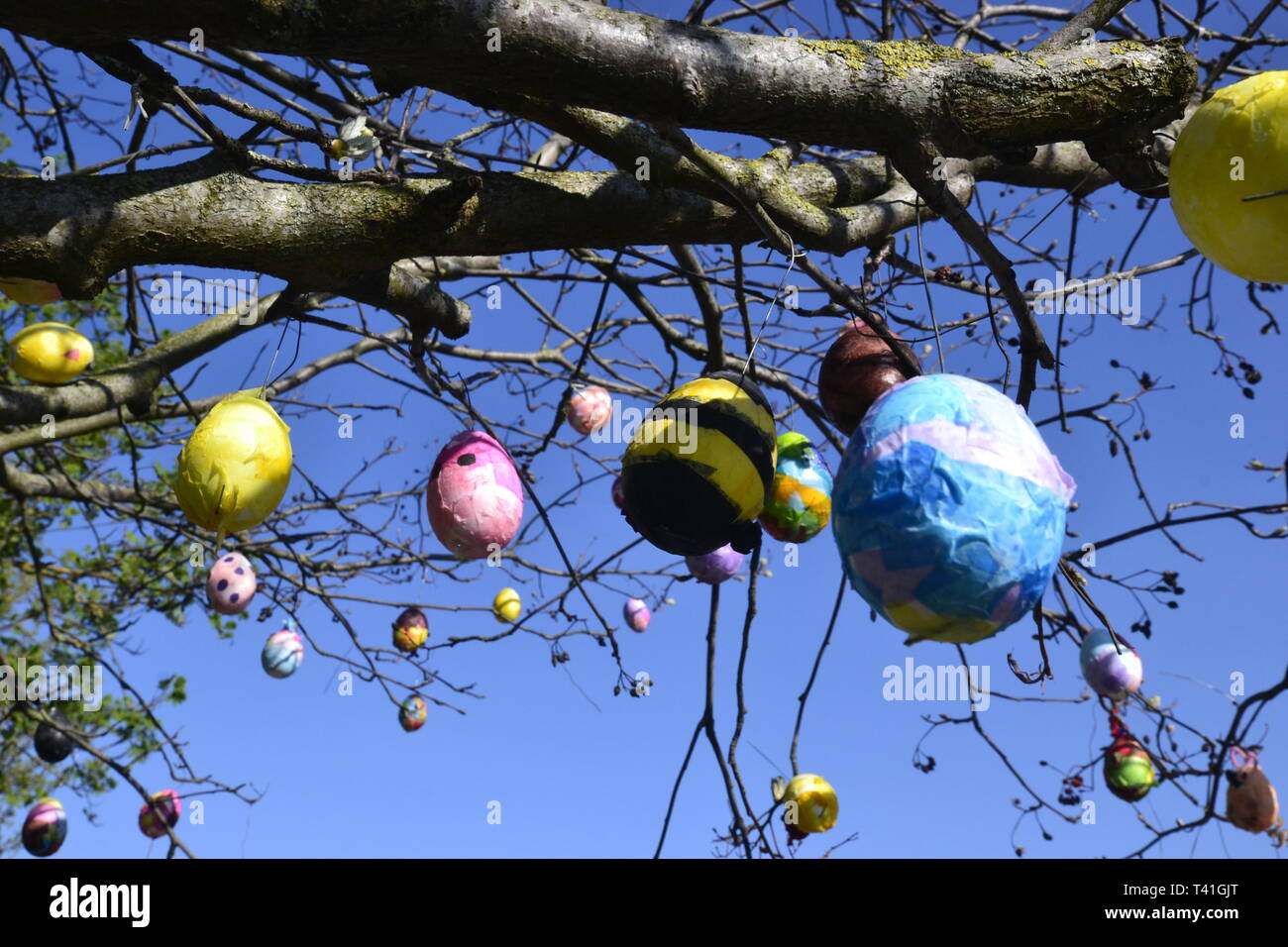 Saalfelder ostereierbaum -Fotos und -Bildmaterial in hoher Auflösung ...