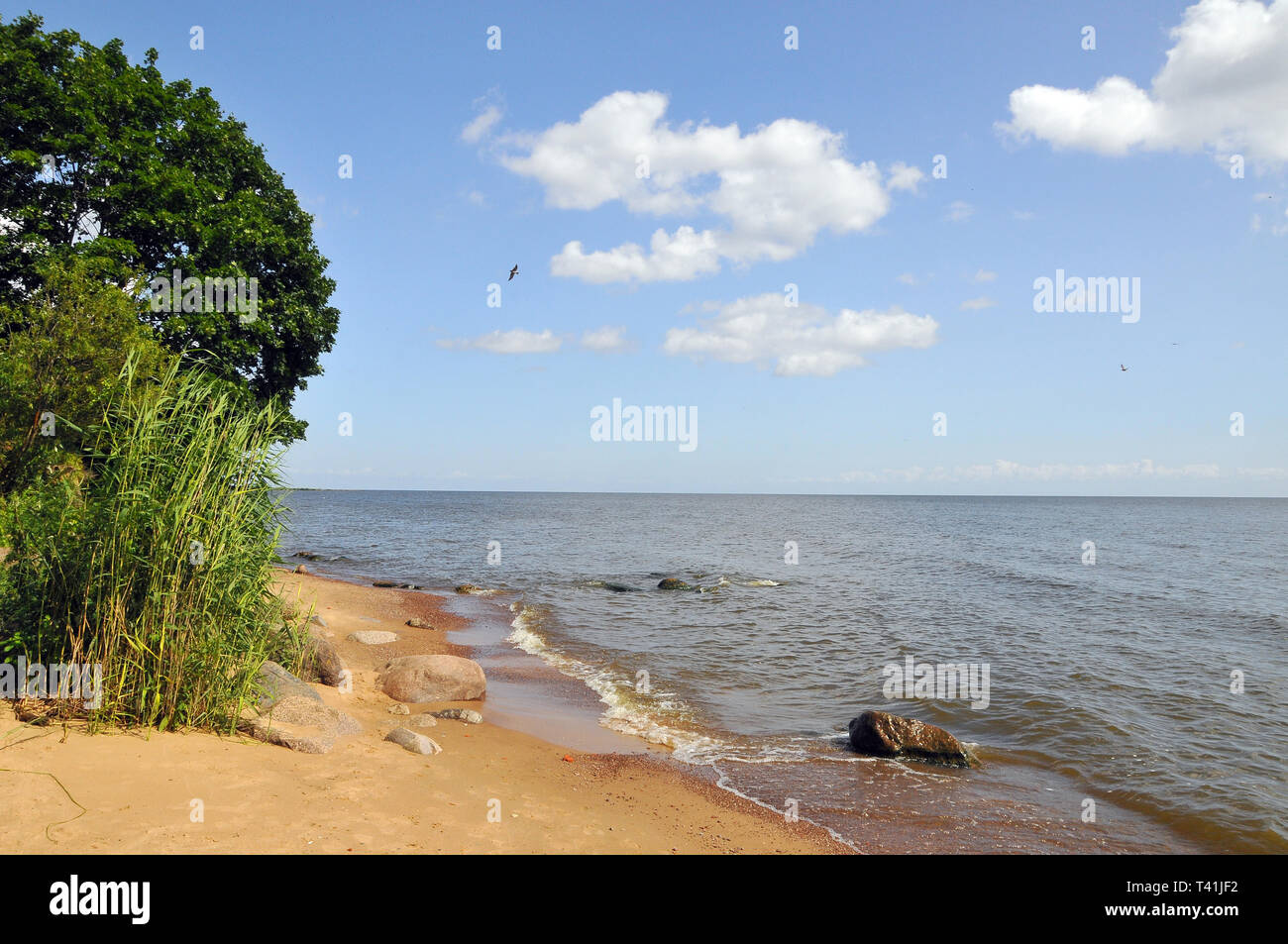 Peipsi Sehen Stockfotos und -bilder Kaufen - Alamy