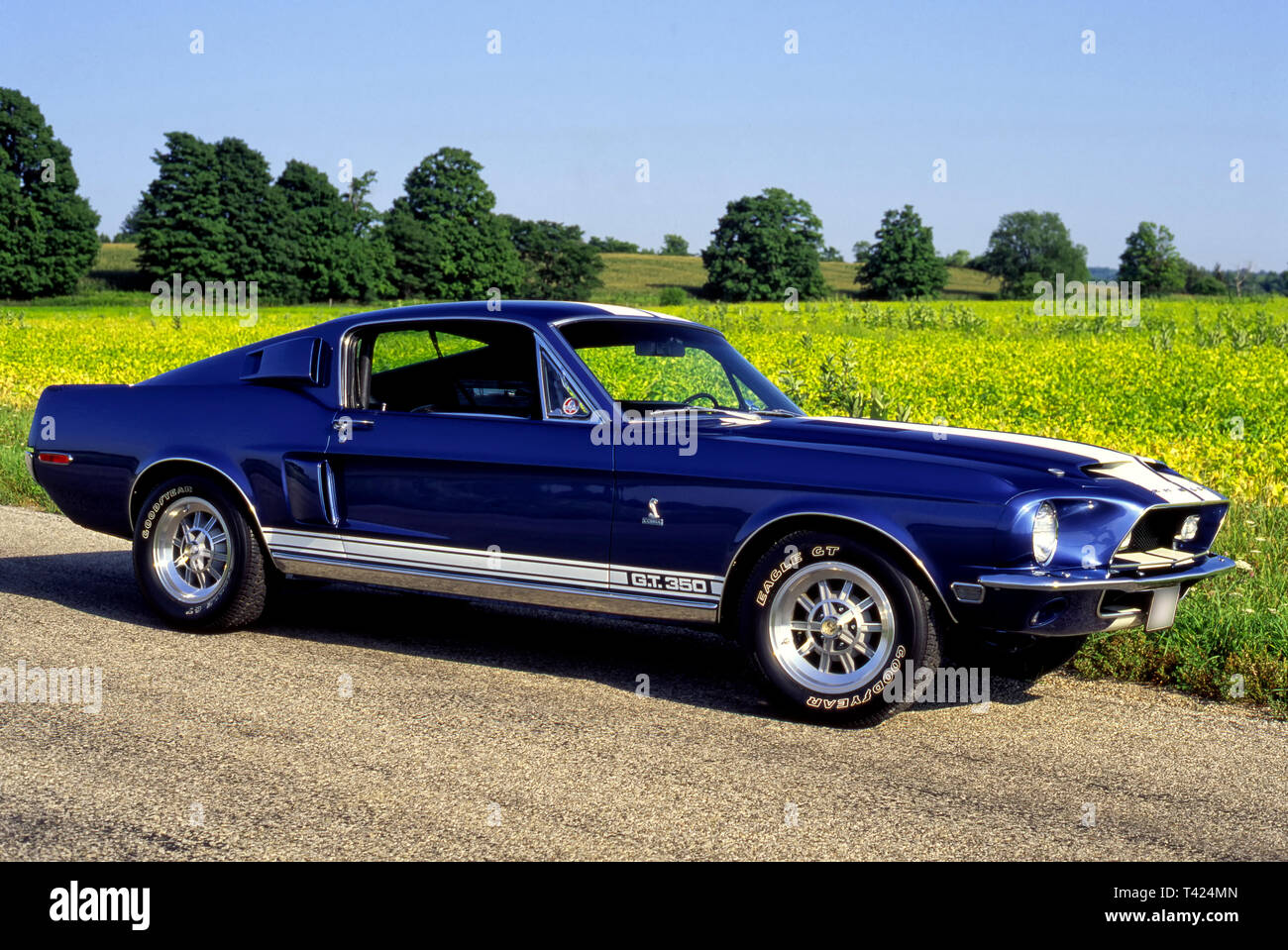 1968 Taobh Istigh Shelby Cobra Mustang A Rare 1968 Shelby Mustang