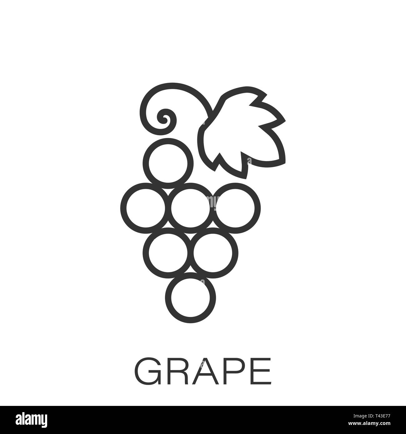 Weinberg vektor vektoren -Fotos und -Bildmaterial in hoher Auflösung ...