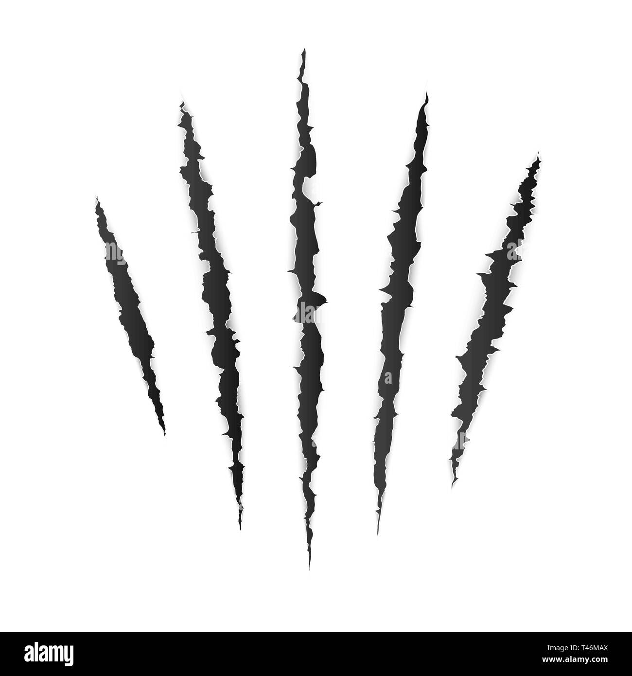 Krallen Kratzer Vektor Vektoren Stockfotos und -bilder Kaufen - Alamy