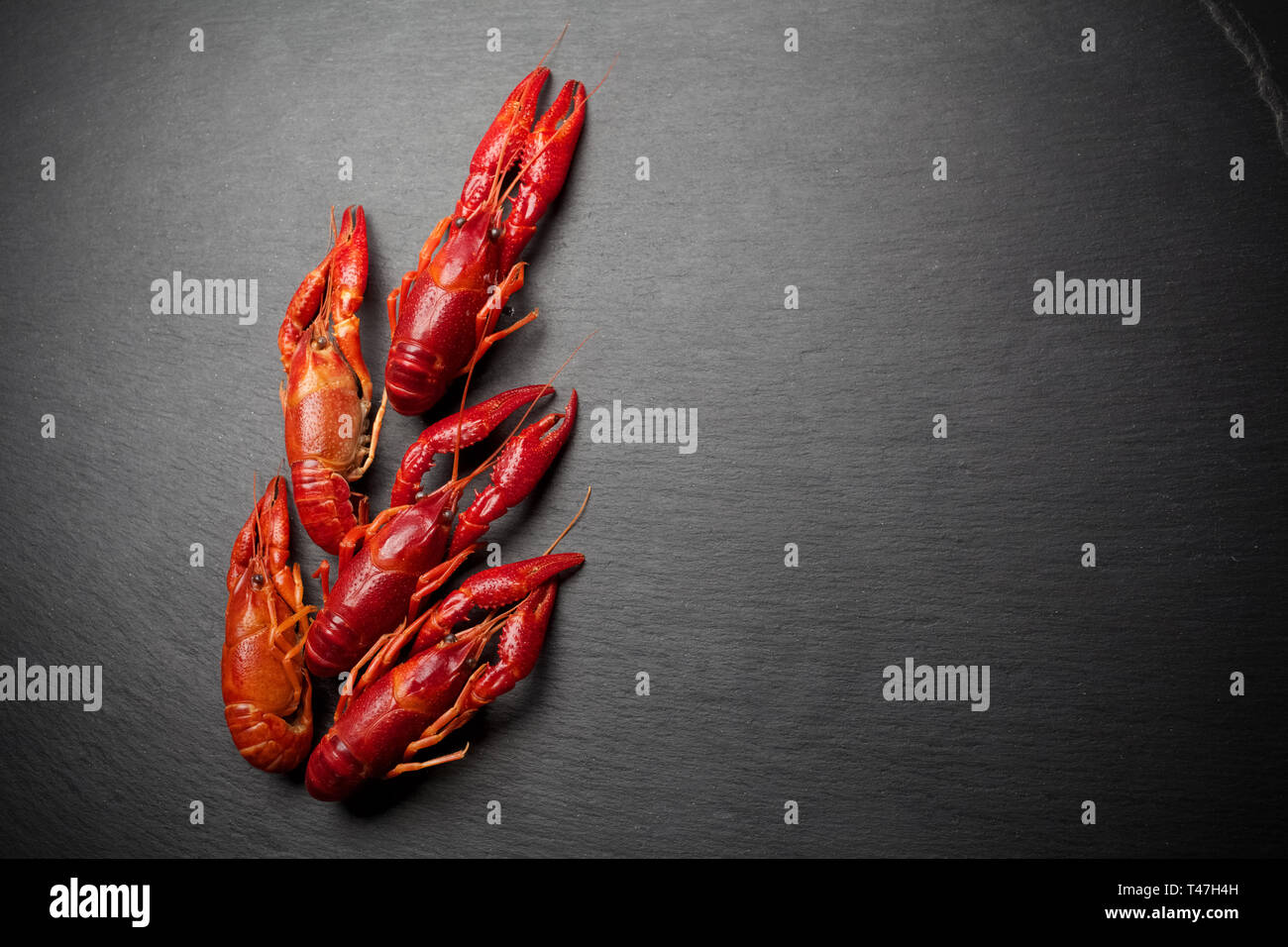 Fisch schalentiere hummer austern -Fotos und -Bildmaterial in hoher ...