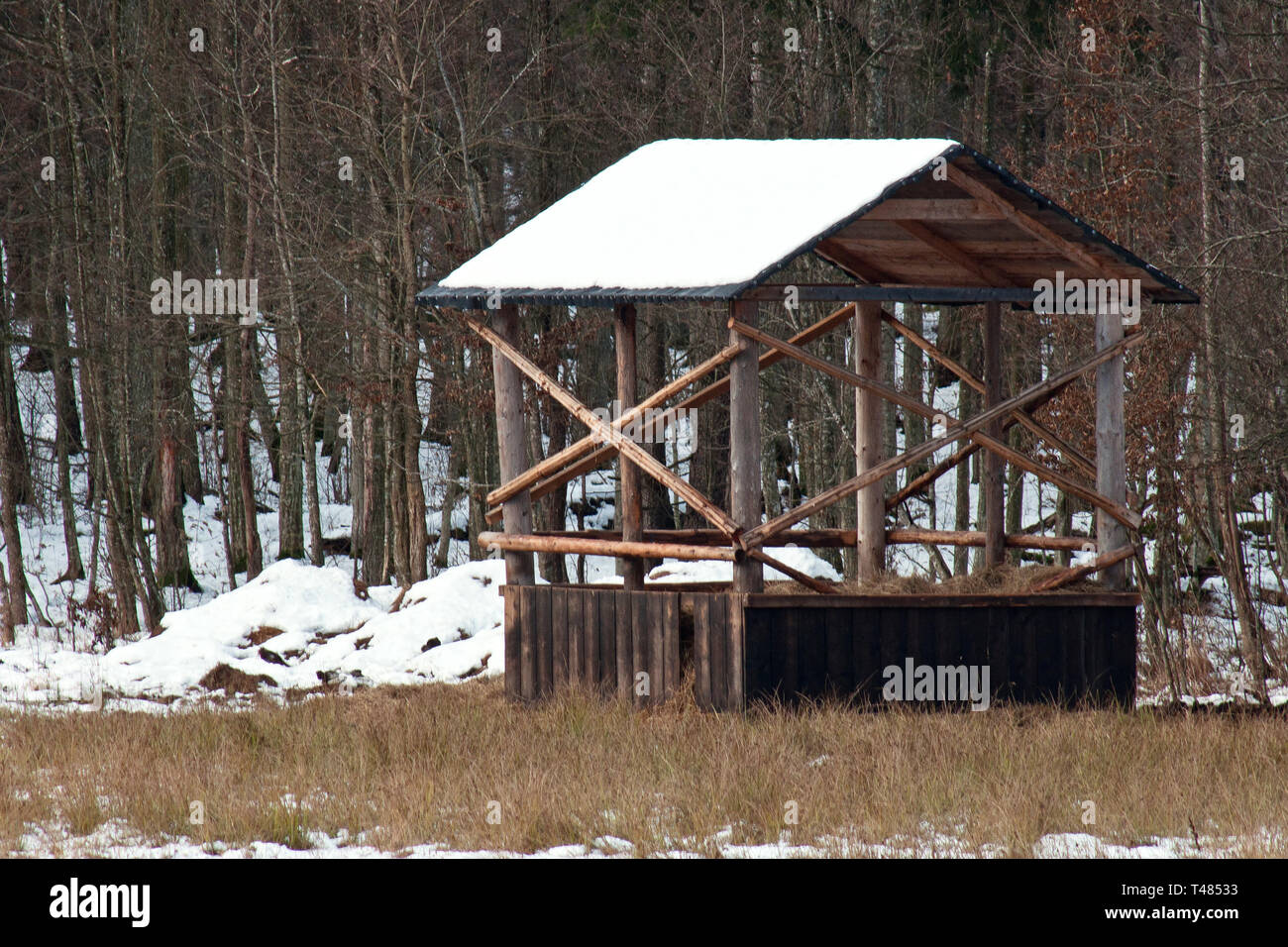Wiese mit scheune und wald im hintergrund -Fotos und -Bildmaterial in hoher Auflösung – Alamy