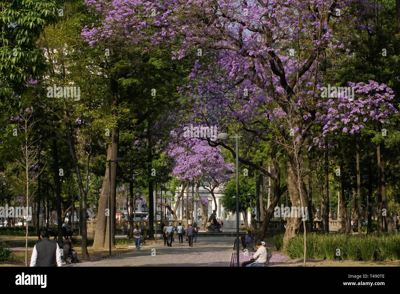 Hemiciclo A Juarez Stockfotos und -bilder Kaufen - Alamy