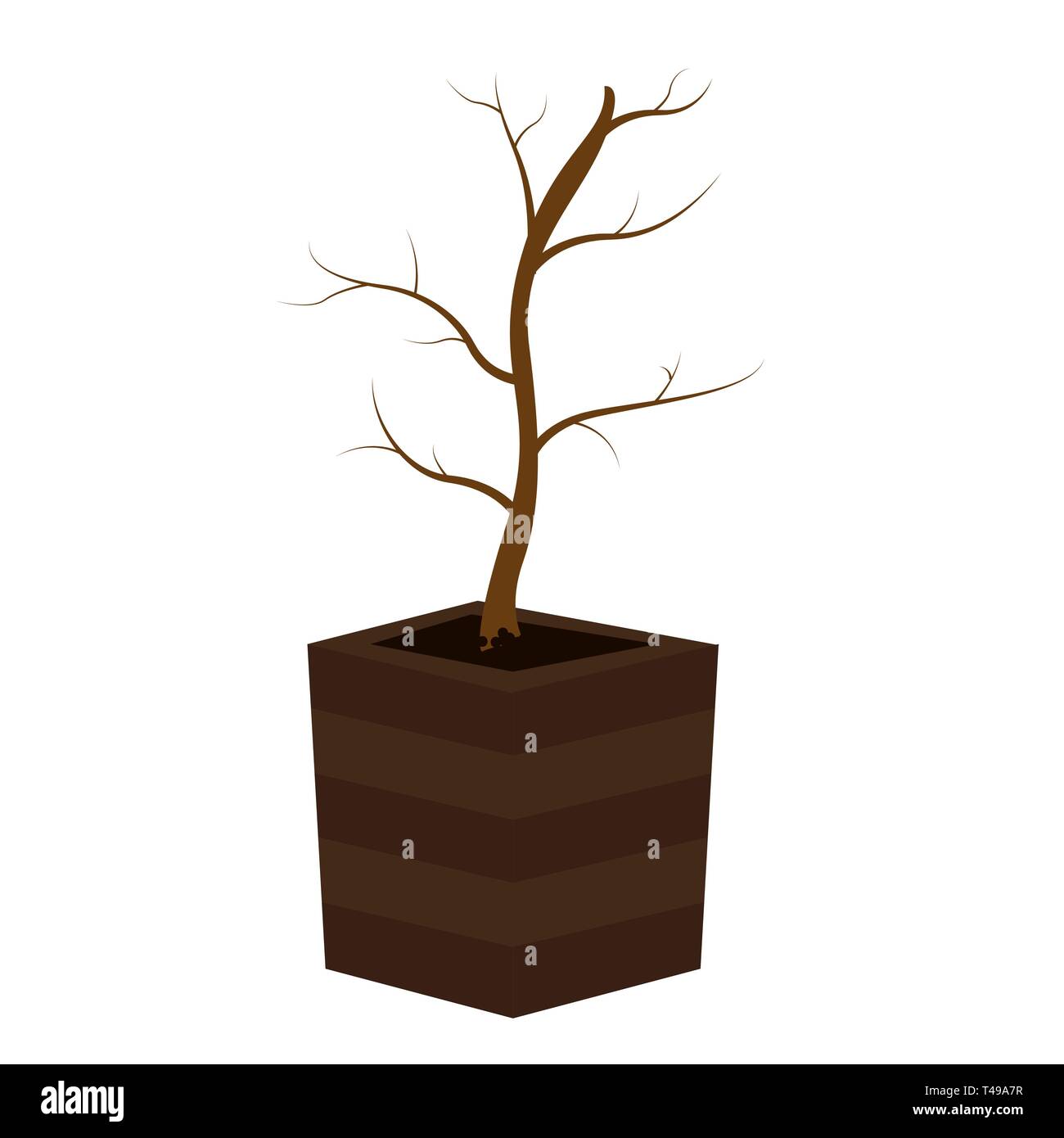 Wachsender baum aus samen Stock-Vektorgrafiken kaufen - Alamy