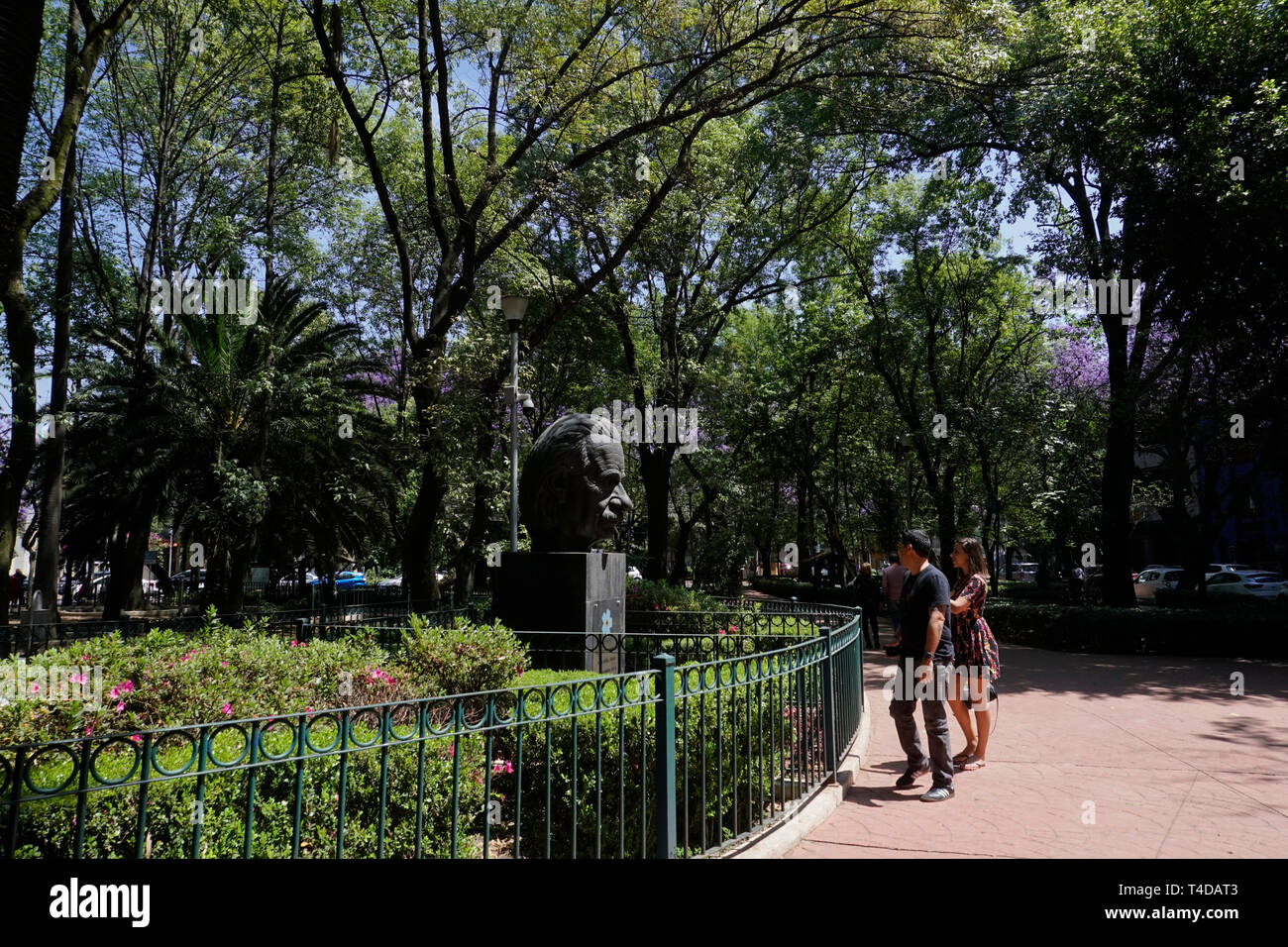 Albert Einstein Statue im Parque Mexico, City Park in der hipodromo ...