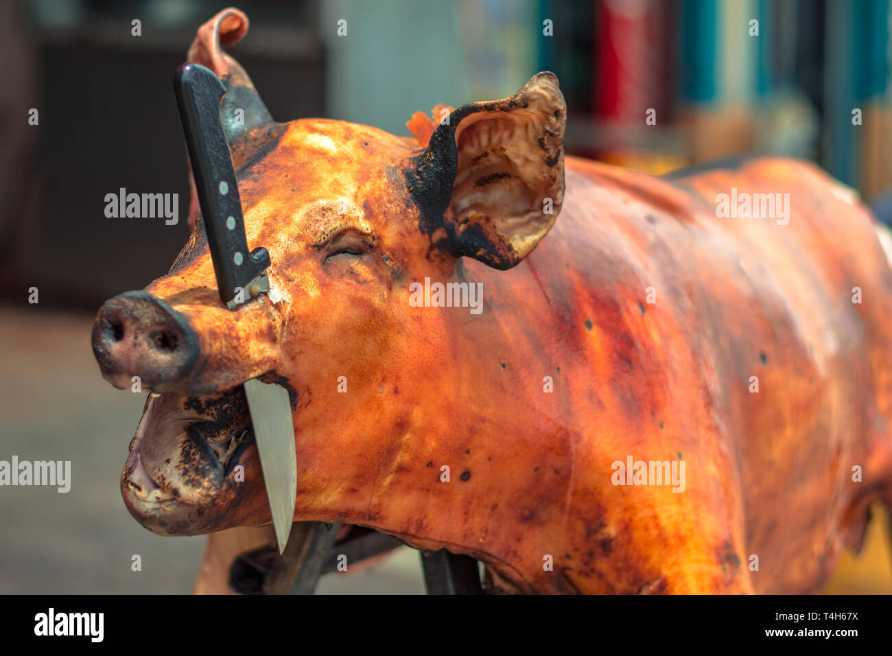 Schwein töten -Fotos und -Bildmaterial in hoher Auflösung – Alamy