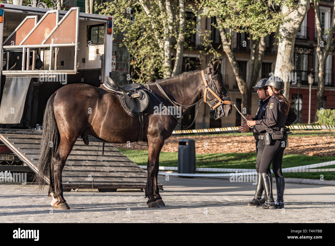 Polizei pferd -Fotos und -Bildmaterial in hoher Auflösung – Alamy