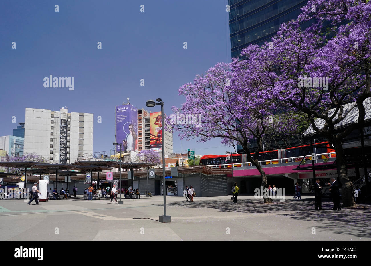 Metro insurgentes PLAZA (Glorieta de los Insurgentes) für den Metrobus ...