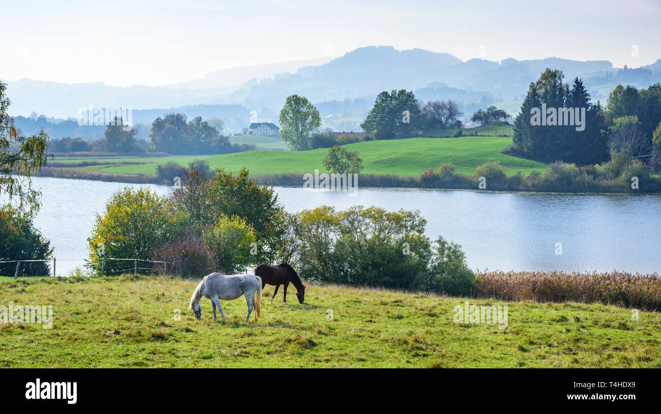 Pferde an einem see -Fotos und -Bildmaterial in hoher Auflösung – Alamy