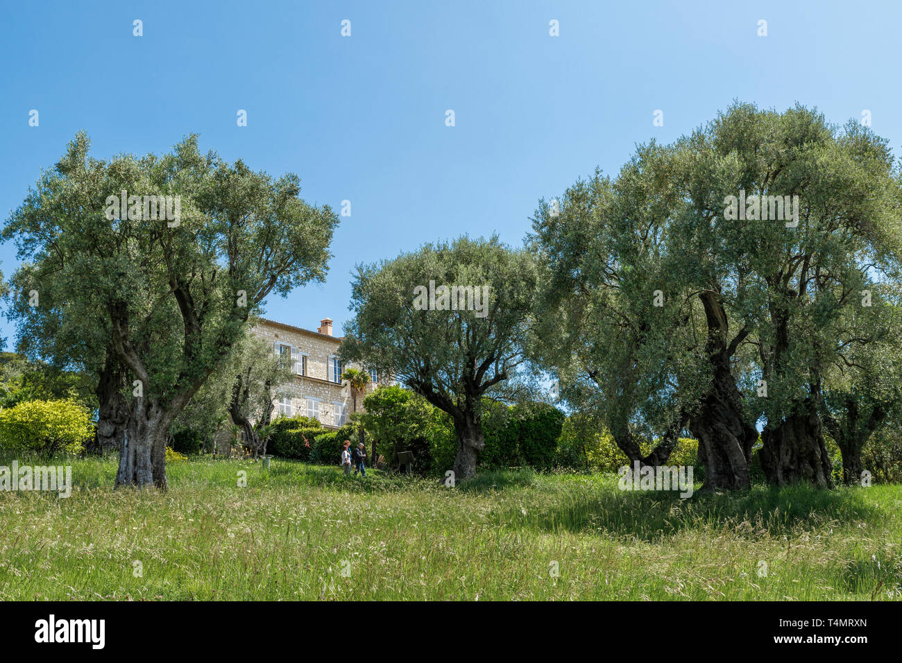 Cag museum -Fotos und -Bildmaterial in hoher Auflösung – Alamy