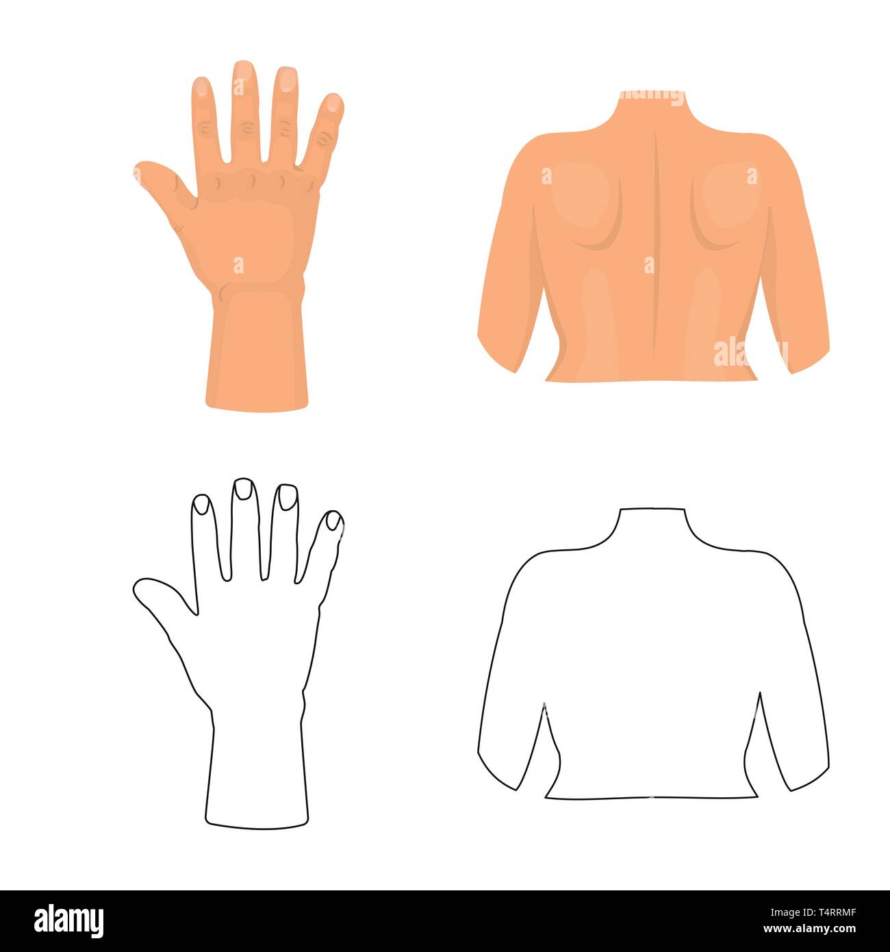 Vector Illustration von Körper und Symbol. Satz von Körper und Anatomie ...