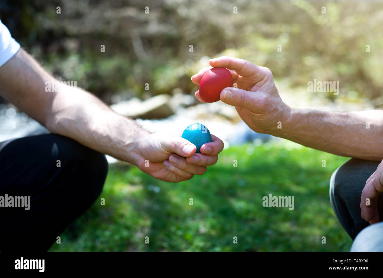 Eier klopfen -Fotos und -Bildmaterial in hoher Auflösung – Alamy