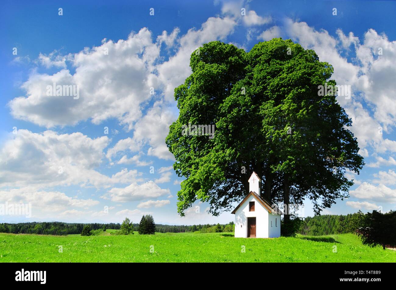 Peiting bavaria -Fotos und -Bildmaterial in hoher Auflösung – Alamy