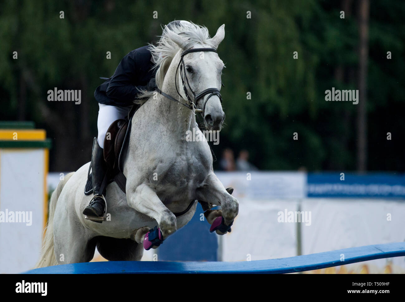 Man jumping over fence -Fotos und -Bildmaterial in hoher Auflösung – Alamy