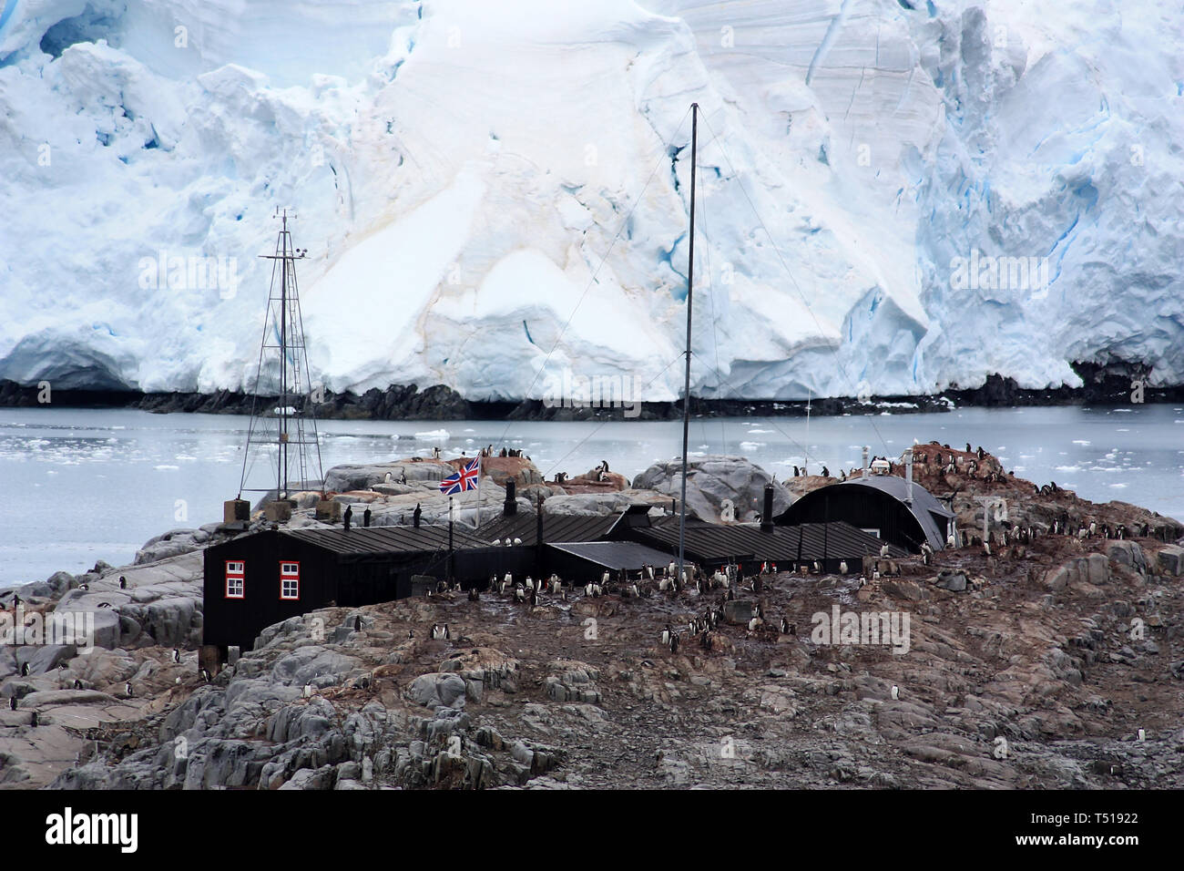 Gletscherhafen lockroy -Fotos und -Bildmaterial in hoher Auflösung – Alamy