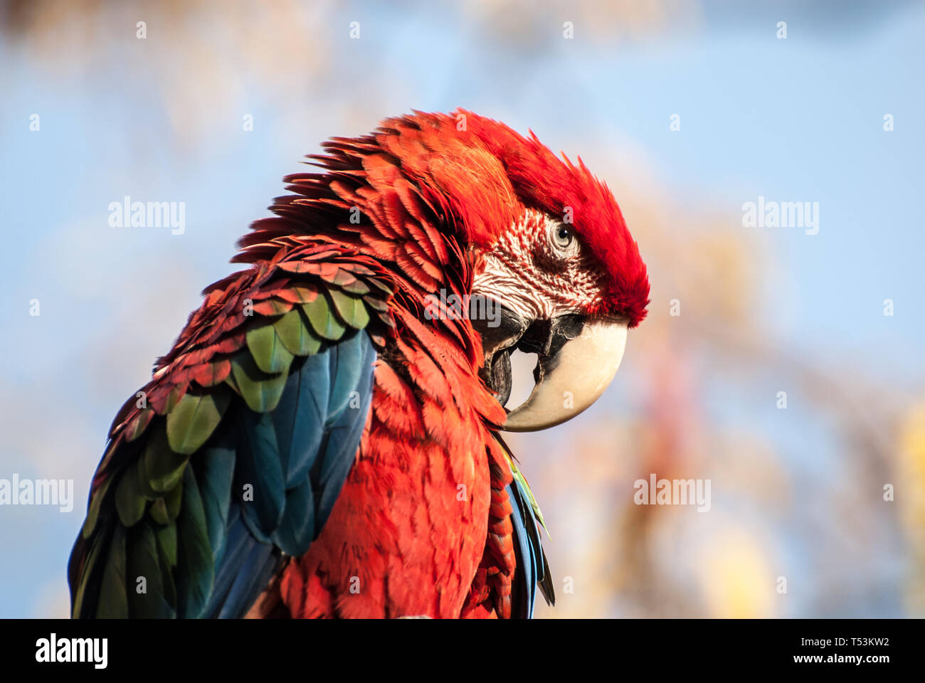 Tiere im Zoo Stockfotografie - Alamy