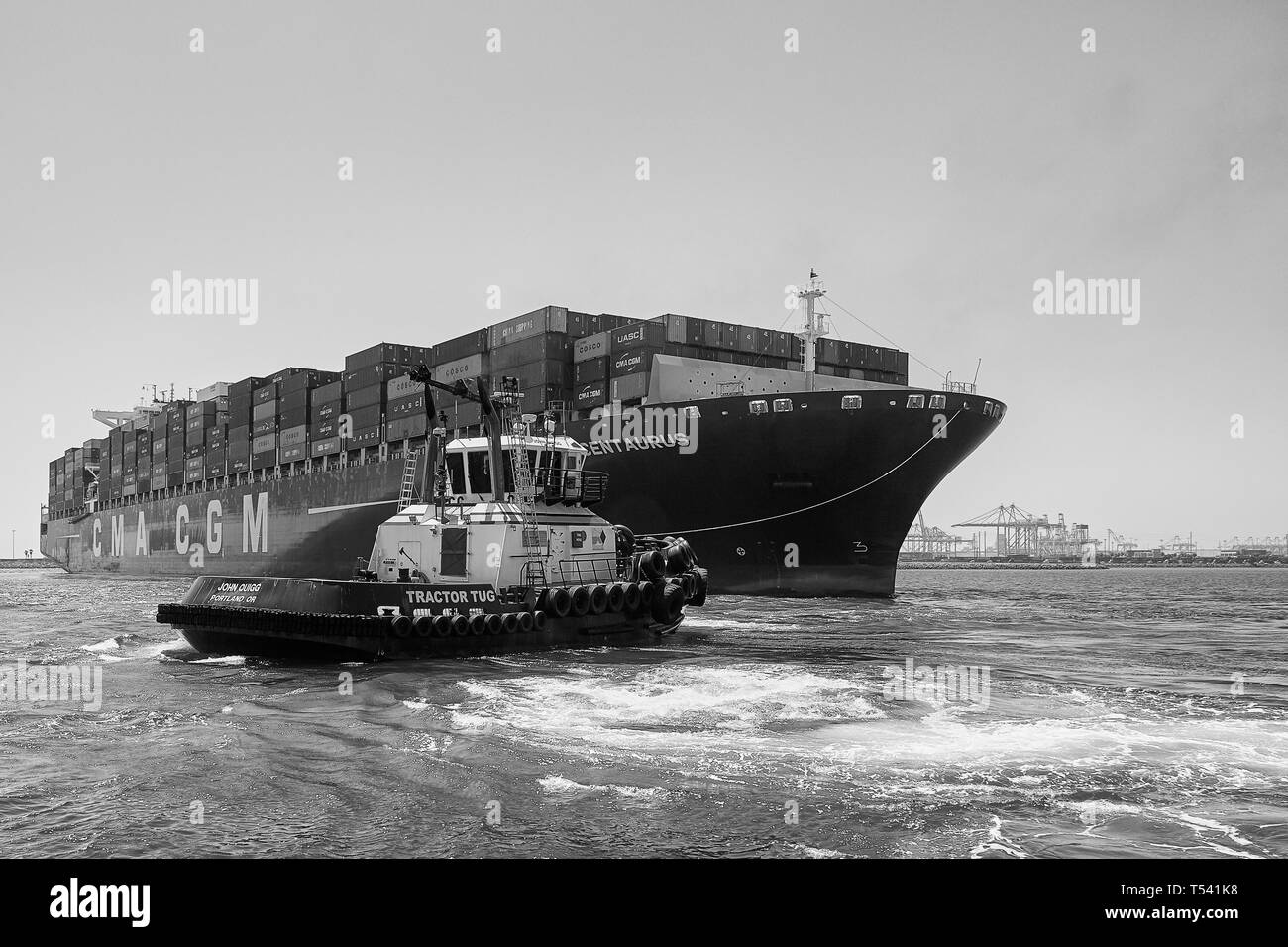 Schwarz-weiß-Foto des Containerschiffs CMA CGM CENTAURUS, das von Tug JOHN QUIGG vor dem Anlegen ...