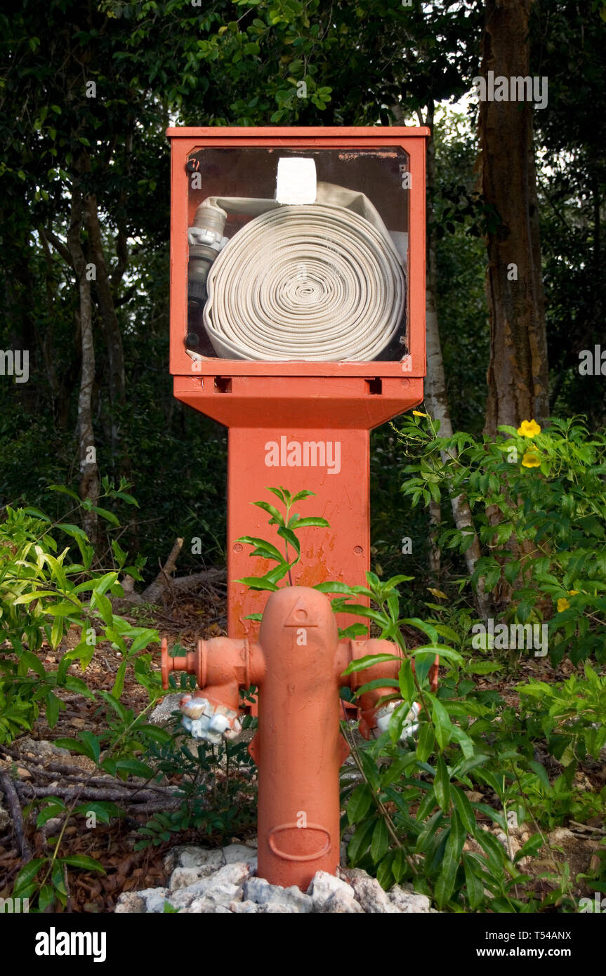 Hydrant tropical -Fotos und -Bildmaterial in hoher Auflösung – Alamy