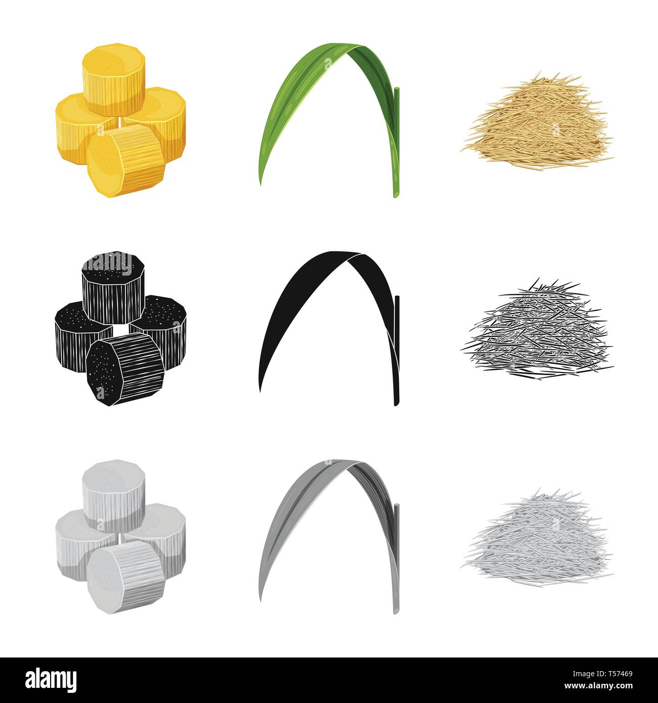 Abfallmaterial indien Stock-Vektorgrafiken kaufen - Alamy