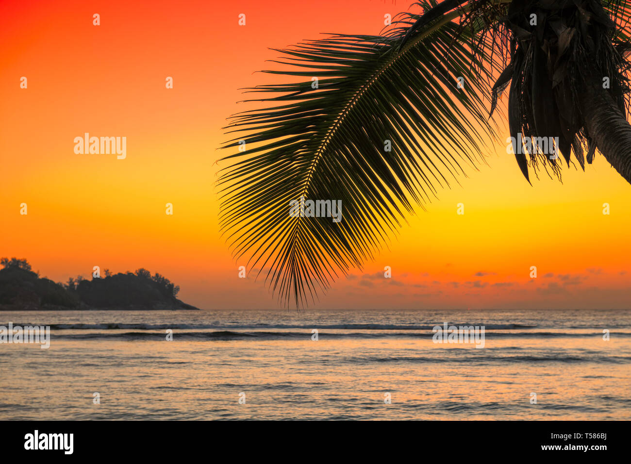 Palme Sonnenuntergang Meer Stockfotos und -bilder Kaufen - Alamy