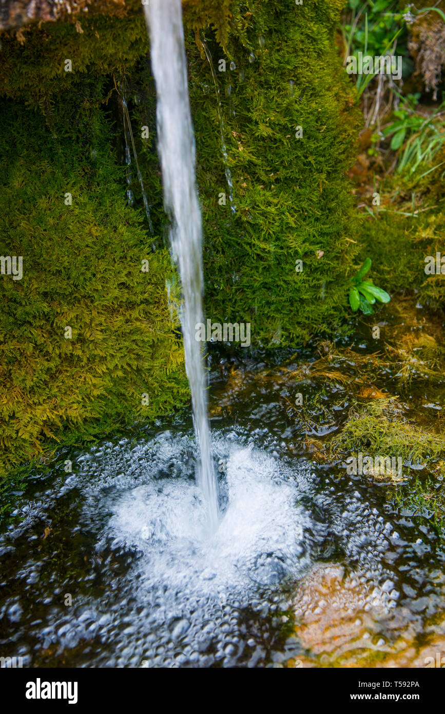 Manando -Fotos und -Bildmaterial in hoher Auflösung – Alamy