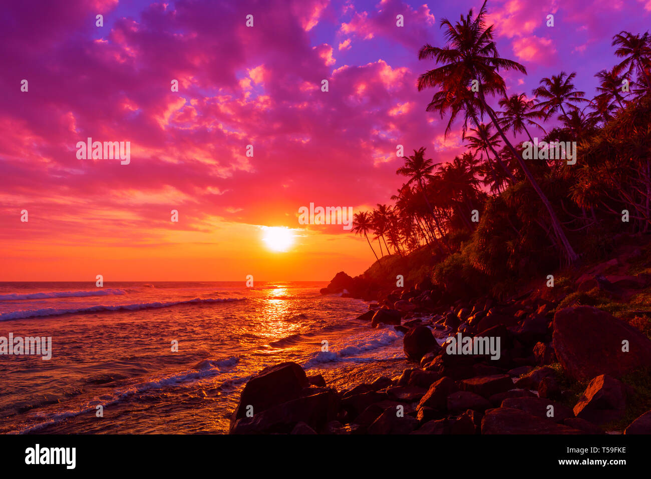 Sonnenuntergang am strand mit palmen -Fotos und -Bildmaterial in hoher ...