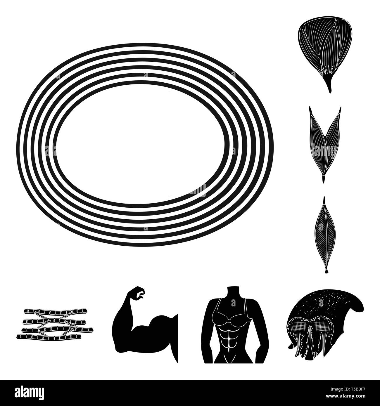 Vector Illustration des menschlichen Körper und Symbol. Sammlung von ...
