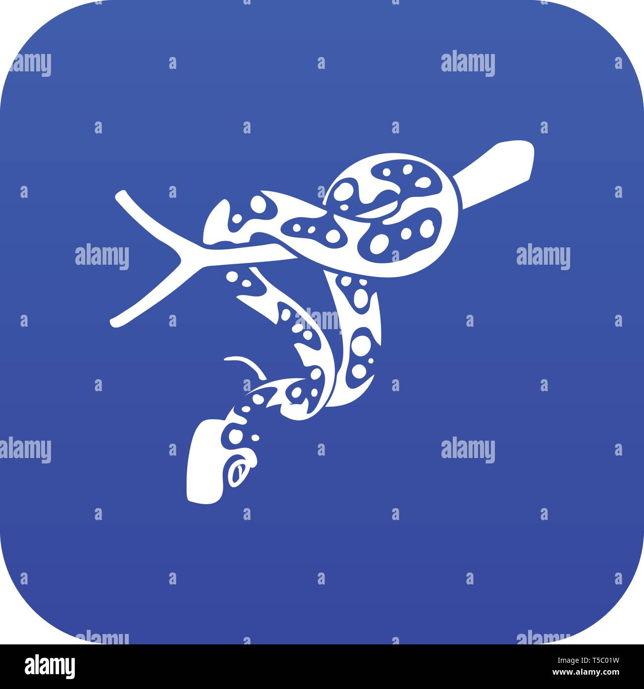 Angolanische python -Fotos und -Bildmaterial in hoher Auflösung – Alamy