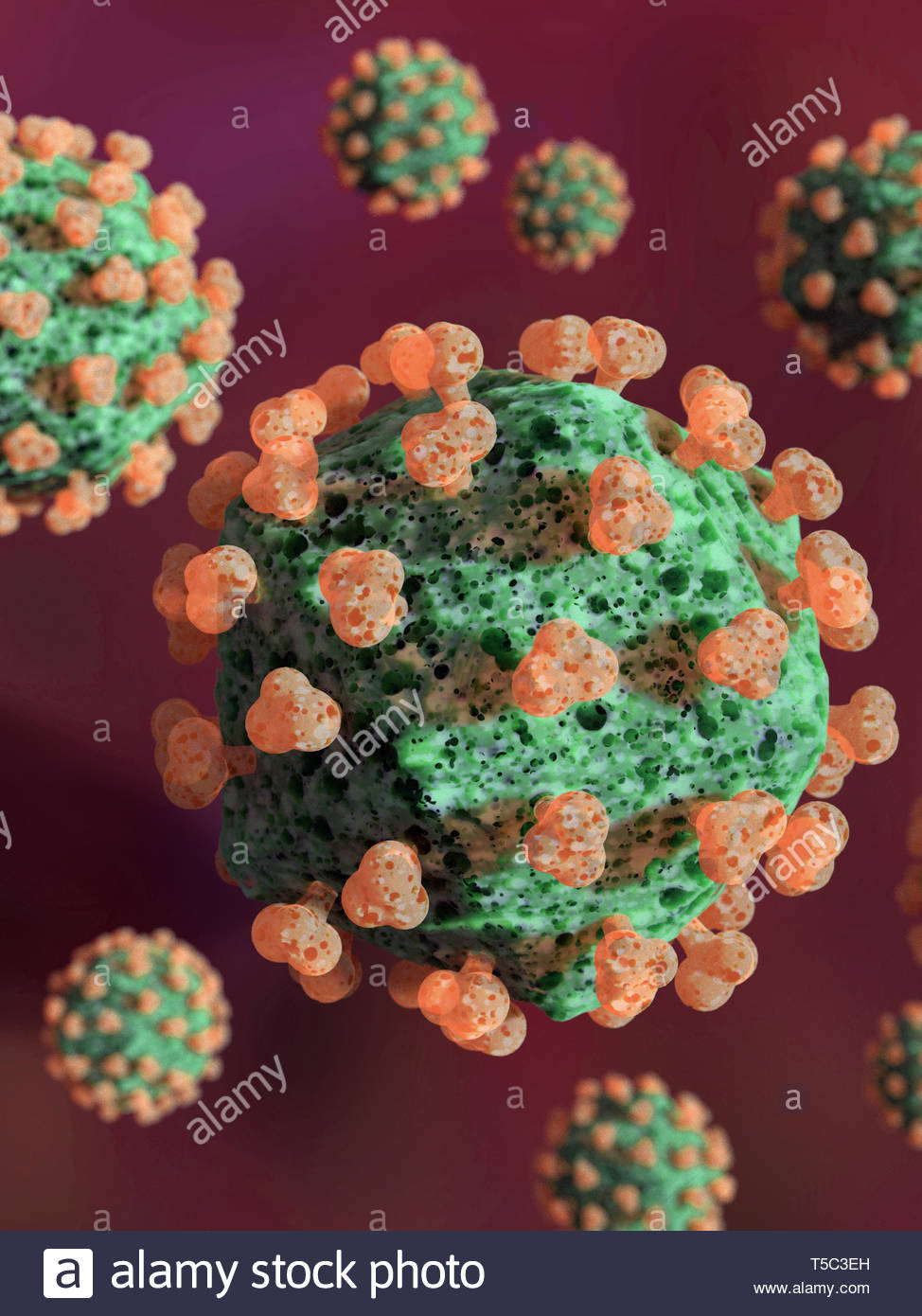 Microscopic Organism Stockfotos & Microscopic Organism Bilder - Alamy