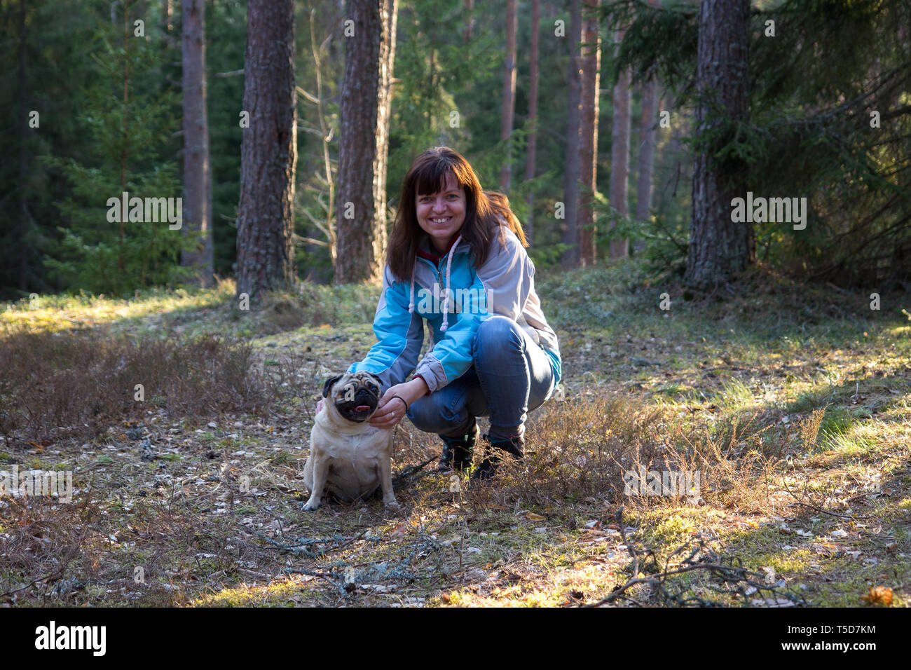 Mops lustig -Fotos und -Bildmaterial in hoher Auflösung – Alamy