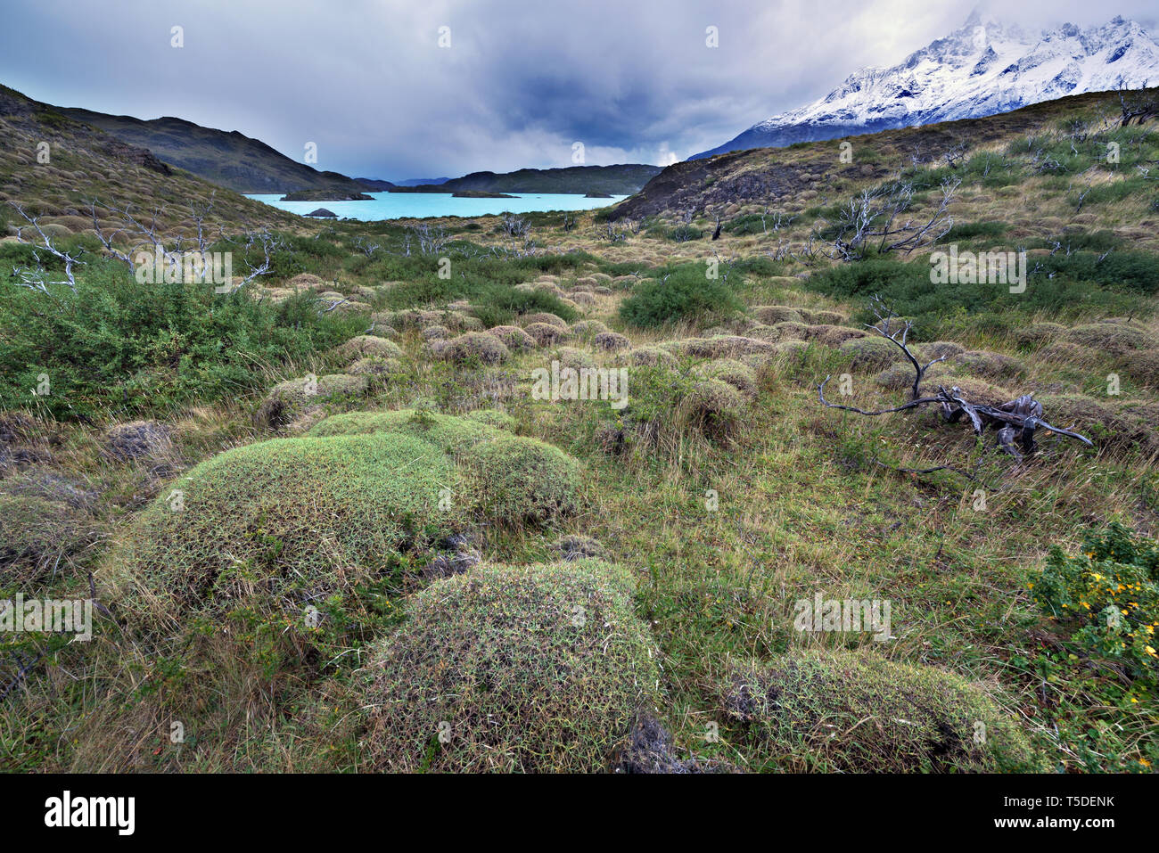 Chilenisches Wasser Stockfotos und -bilder Kaufen - Alamy