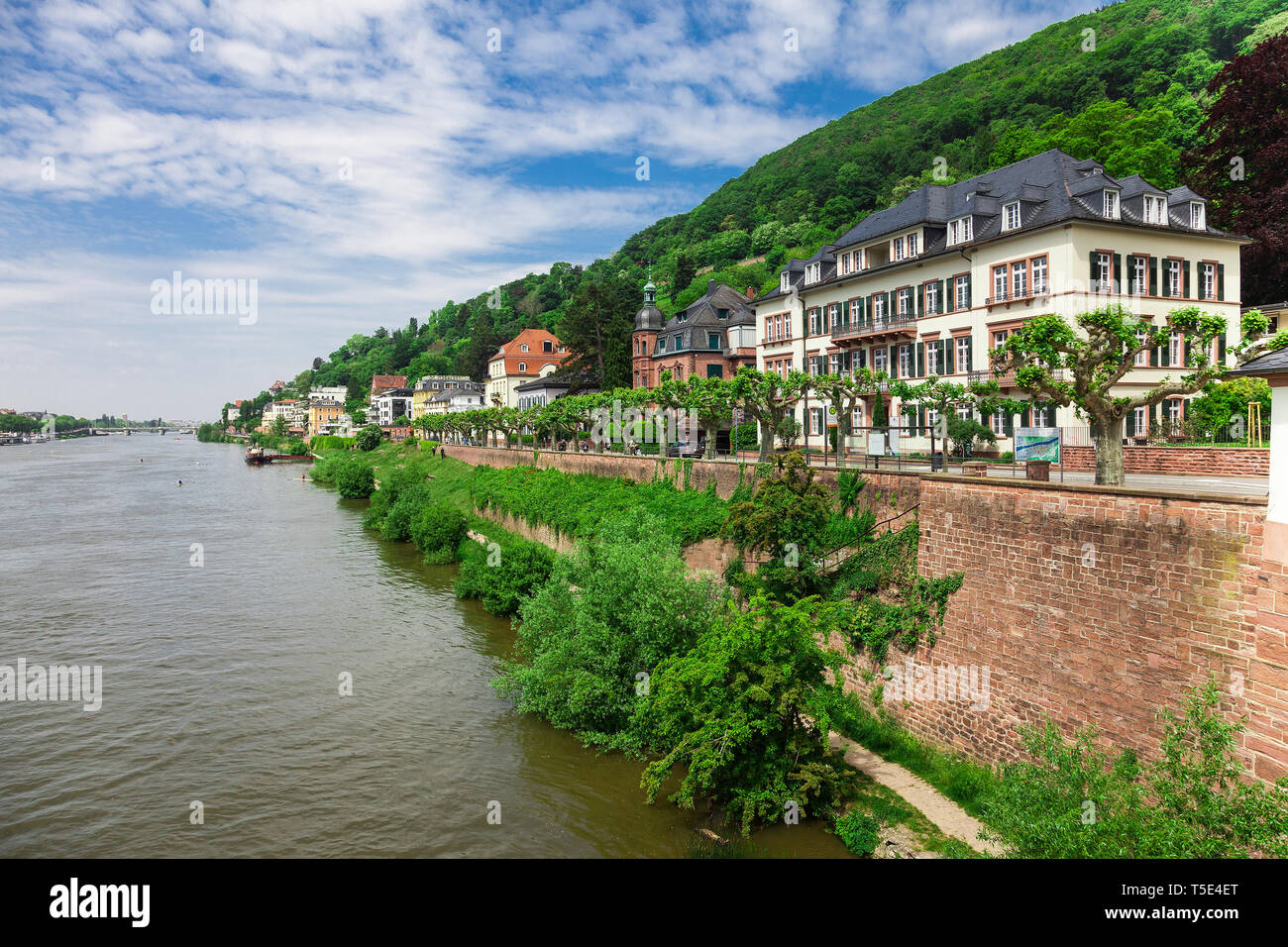 Heidelberger mittelalterliche architektur -Fotos und -Bildmaterial in hoher Auflösung – Alamy