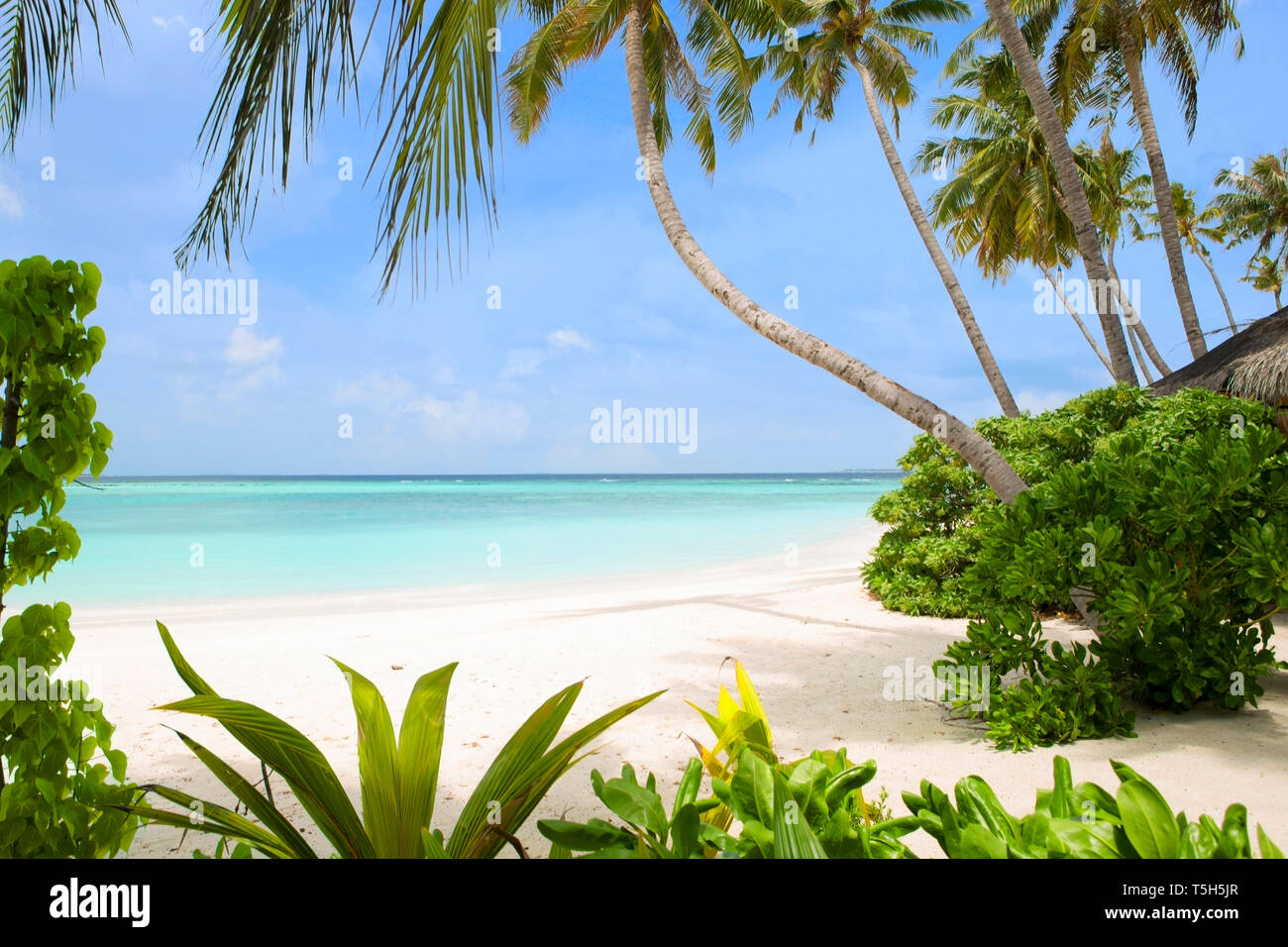Traumstrand malediven -Fotos und -Bildmaterial in hoher Auflösung – Alamy